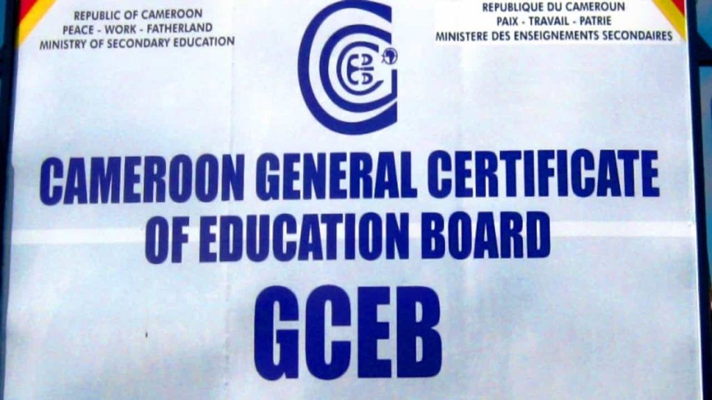 GCE ORDINARY LEVEL 2025 RESULTS RELEASED - Edukamer
