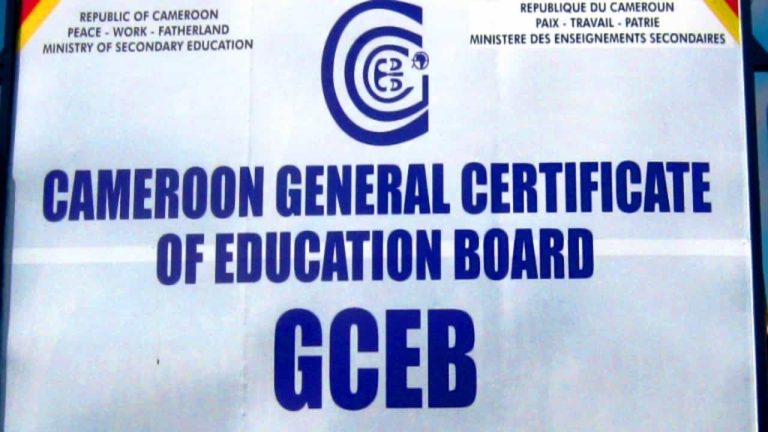 GCE ORDINARY LEVEL 2025 RESULTS RELEASED - Edukamer