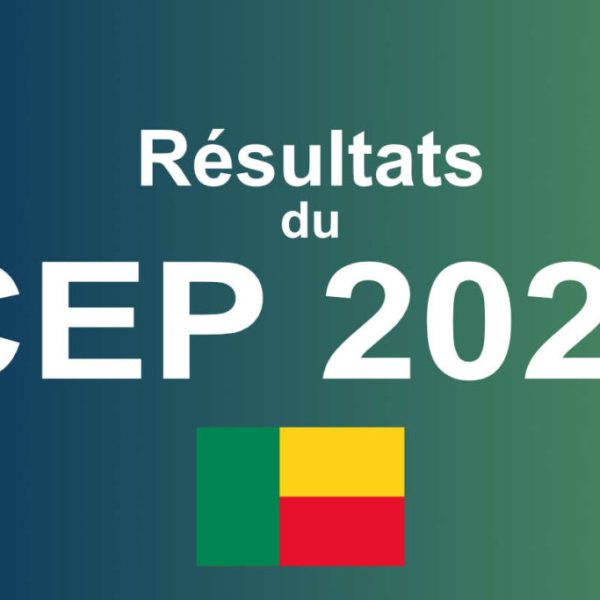 Résultats BAC Tchad 2024 : Consulter la liste des admis en PDF ici ...